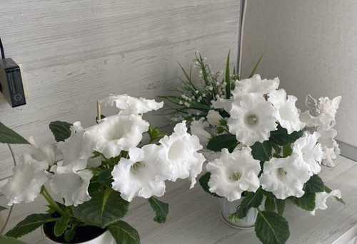 Комнатные растения цветущие Глоксиния белая