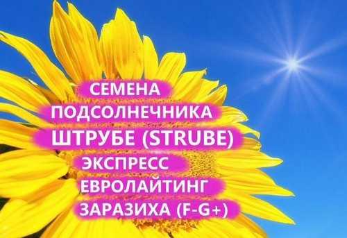 Семена подсолнечника Штрубе Гибриды