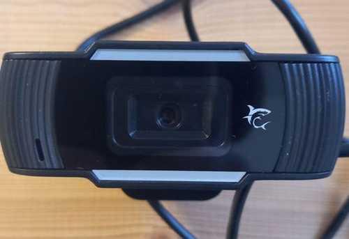 White Shark cyclops веб камера из Черногории