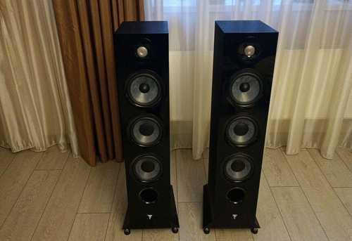 Focal chora 826