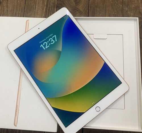 iPad