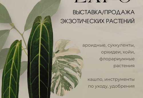 Выставка / Ярмарка растений