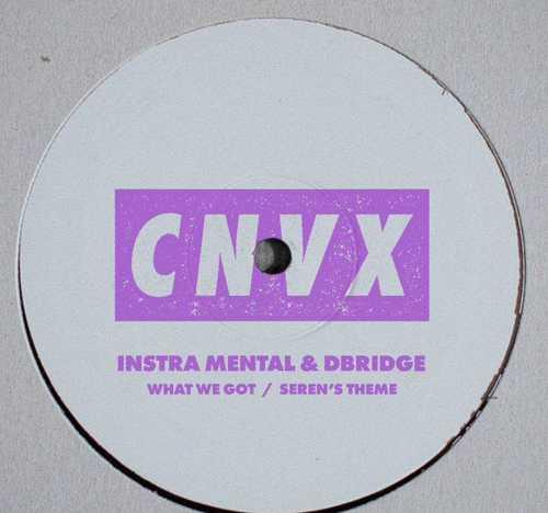 Instra:mental/D-Bridge – What We Got/Seren's Theme