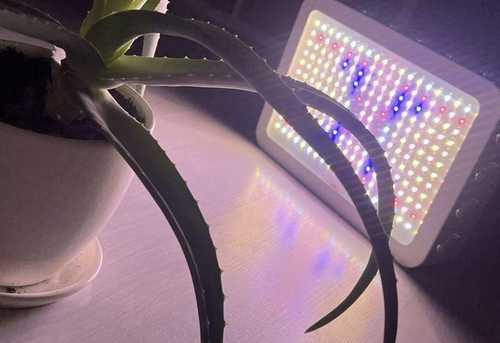 Прожектор светильник для растений