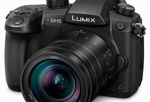 Фотоаппарат Panasonic Lumix GH5 Kit 12-60mm f/2.8