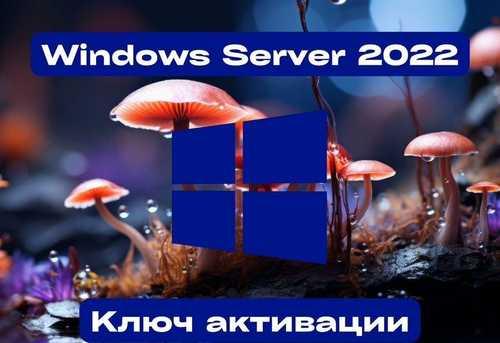 Windows Server 2022 Ключ лицензионного издания