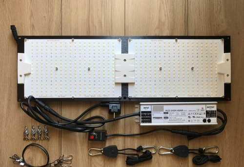 Quantum board kingbrite samsung LM301H 240 вт