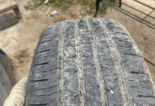 Continental EcoContact 6 195/55 R16