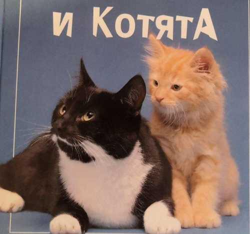 Кошки и котята, книжка для детей