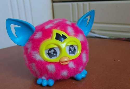 Furby boom