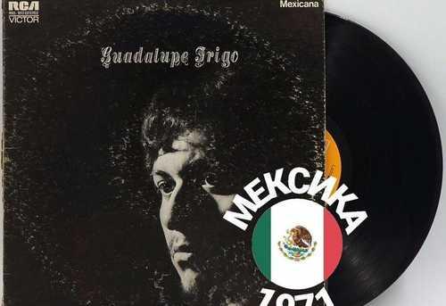 Виниловая пластинка Guadalupe Trigo
