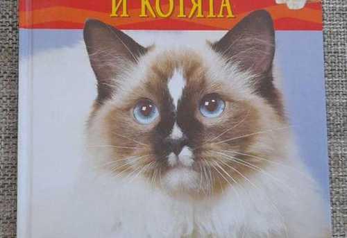 Детская энциклопедия "Кошки и котята"