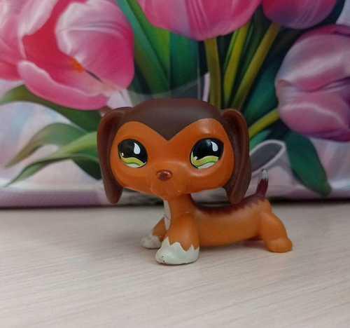 Littlest pet shop lps лпс