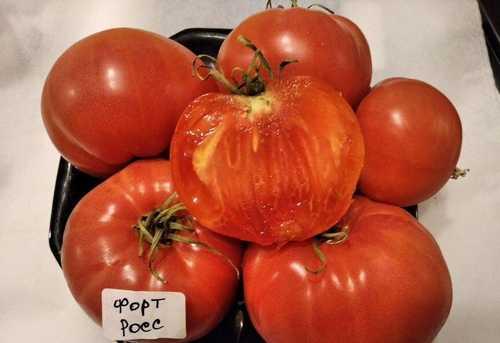Коллекционные семена томатов и сладкого перца