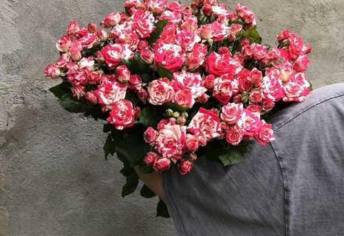 Букет из 31 кустовой розы