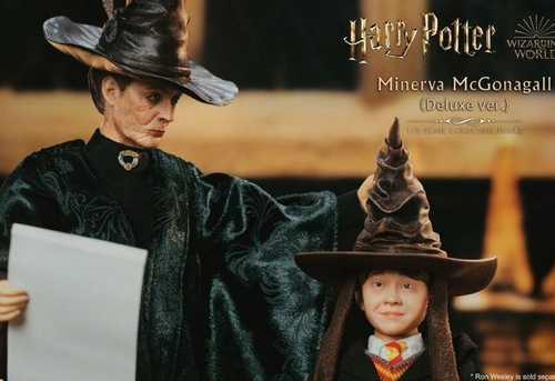 Star Ace Minerva McGonagall, Harry Potter