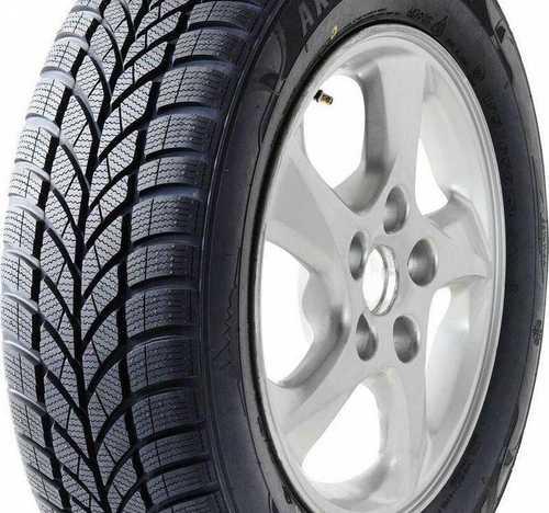 Maxxis WP-05 ArcticTrekker 185/55 R16 87H