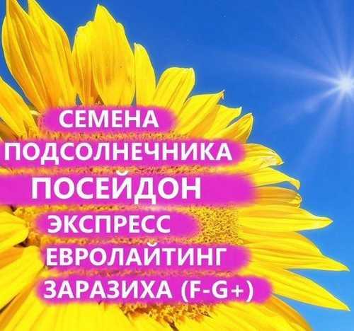 Семена подсолнечника Посейдон, Челябинск