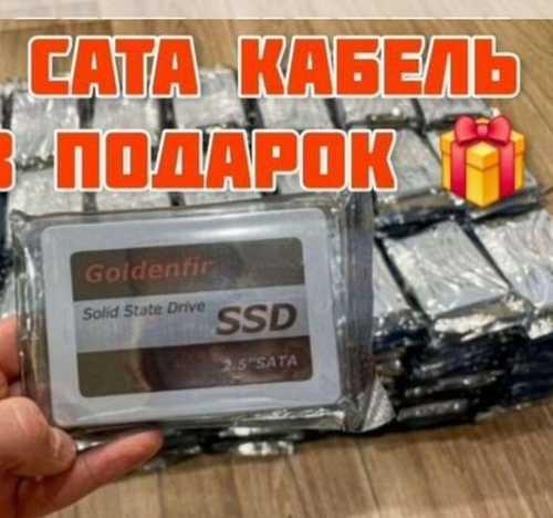 Ssd goldenfir 120/240 gb + 10п.ро