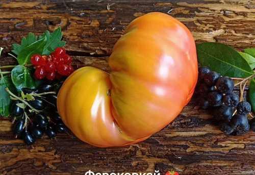 Семена томатов из серии Гном томатный