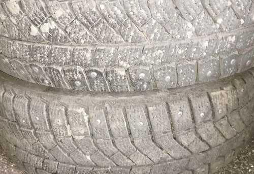 Accelera Gamma 185/65 R14