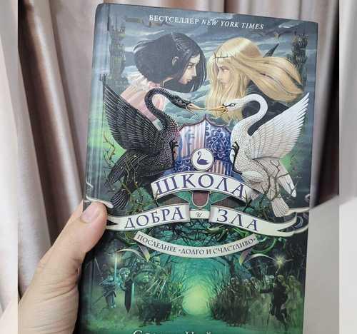 Книга Соман Чайнани "Школа Добра и Зла" 3 часть