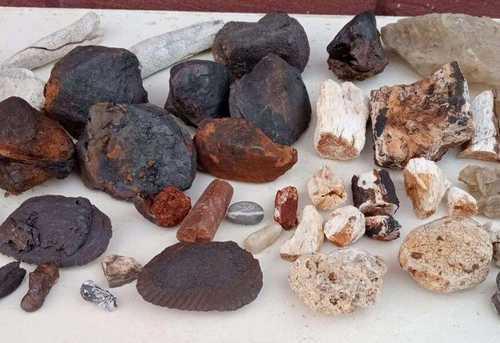 Различные окаменелости и минералы