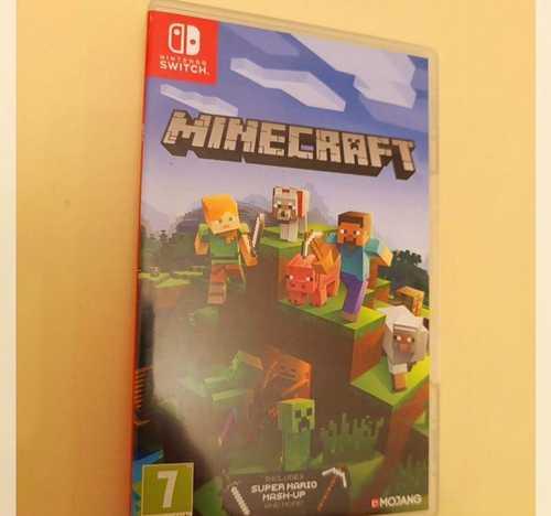 Minecraft Nintendo switch