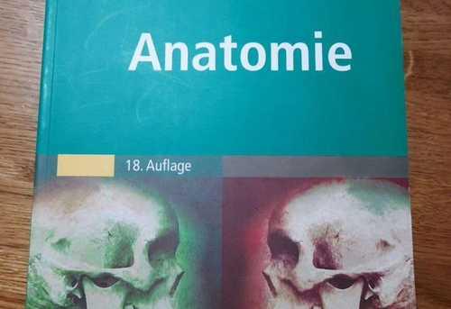 Учебник по анатомии человека не немецком языке