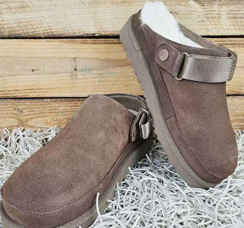 Угги UGG Goldenstar Clog Chocolate оригинал