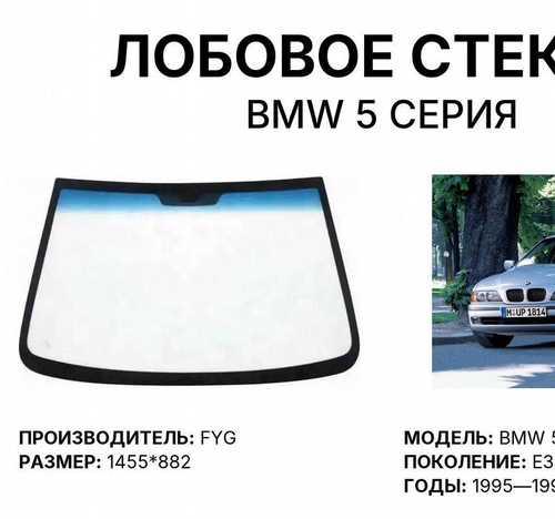 Лобовое стекло на BMW 5 серия (1995 - 1999) FYG