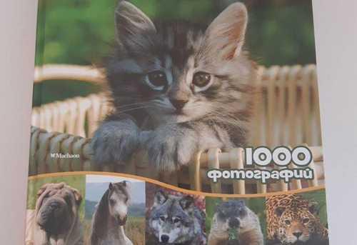 Книга о животных 1000 фото