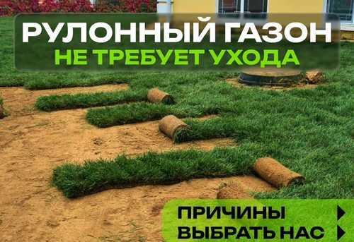 Рулонный газон. Качественный газон от производител