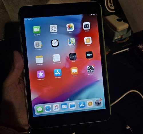 iPad mini 2