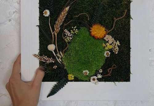 Картина из мха и сухоцветов