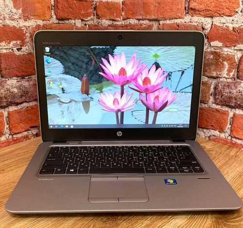 HP EliteBook 725 для работы учебы игр Ноутбук 12"