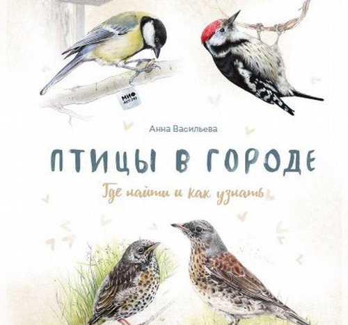 Птицы в городе. Где найти и как узнать. Васильева