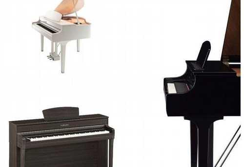 Цифровой рояль Yamaha CLP-765GP арт С250