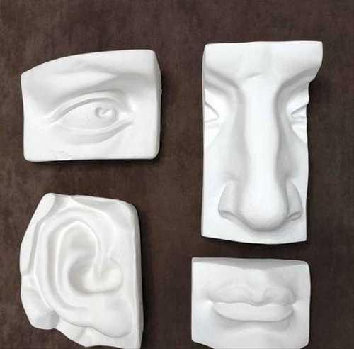 Гипсовая скульптура нос глаз ухо губы Давида