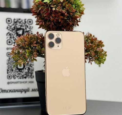 iPhone 11 Pro Max, 256 ГБ