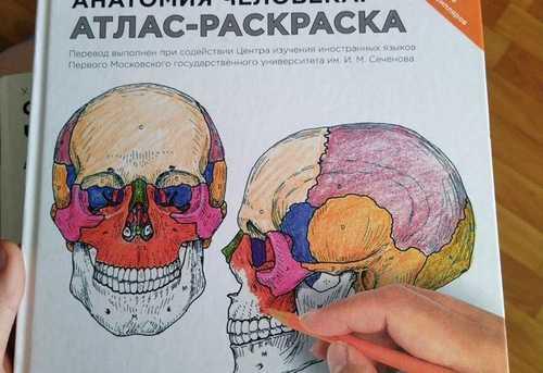 Анатомия человека атлас-раскраска