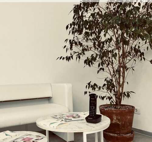 Dect телефон Panasonic KX-TG1611RUF