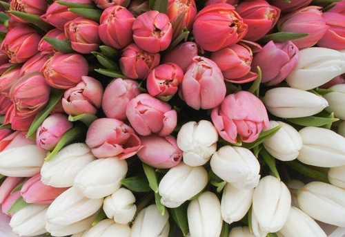 Цветы тюльпаны к 8 марта с доставкой по Казани