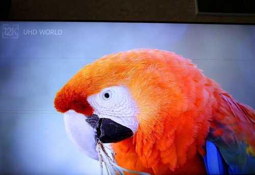 Телевизор Samsung 50’’ 8 серии 4K Smart TV HDR 10+