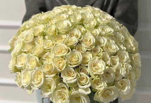 Белые розы 51 101 роза Букет роз Цветы с доставкой