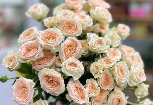 Цветы:Кустовые розы