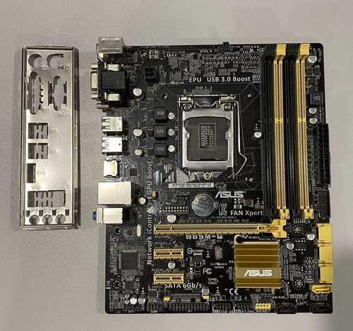 Asus B85M-G