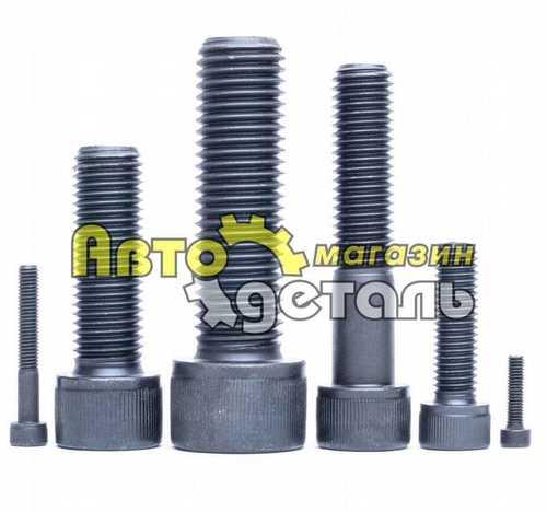 Винт М20*2.5*100 с внутр. шестигр. пр. 12.9