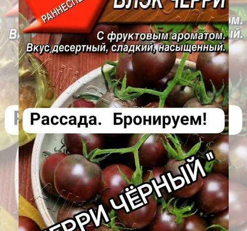 Томат. Черри чёрный. Рассада