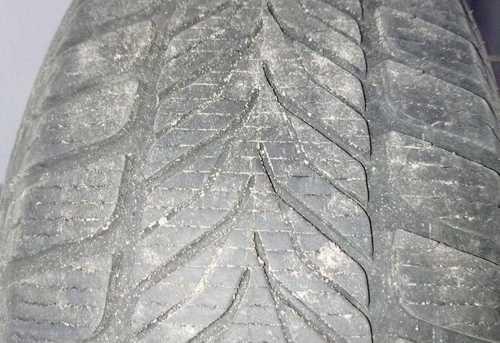 Sava Eskimo HP 195/55 R16